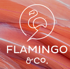 About – Business Improvers